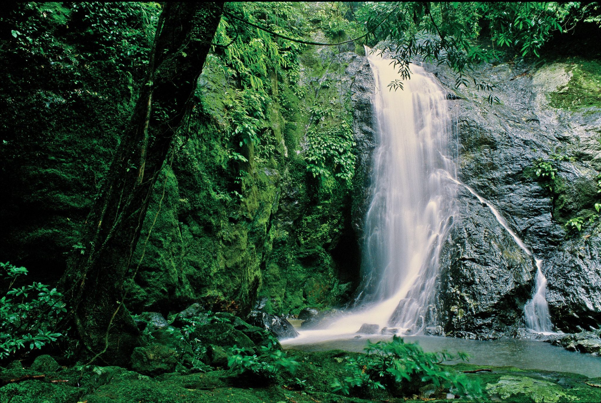 Facilities INFAPRO – Borneo forest heritage